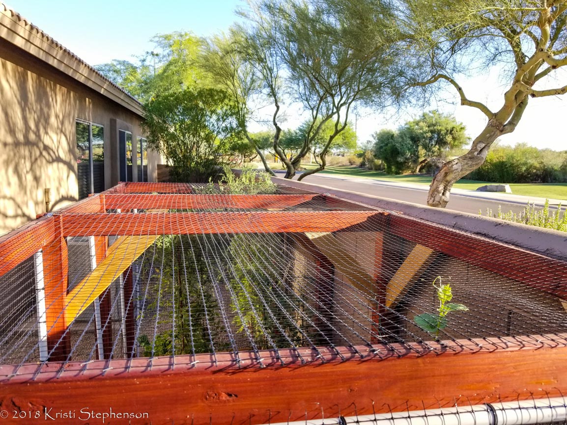 How To: Garden Enclosure - Cook, Craft, Cultivate