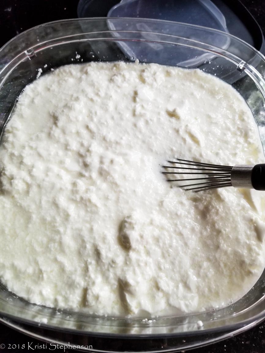 Fermented Foods Part 2: Homemade Yogurt - Cook, Craft, Cultivate