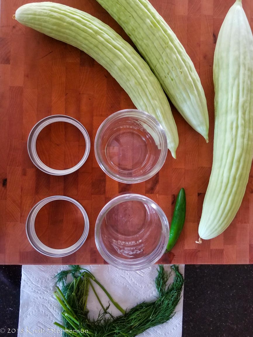 Fermented Foods Part 3: Spicy Lacto Fermented Pickles - Cook, Craft ...